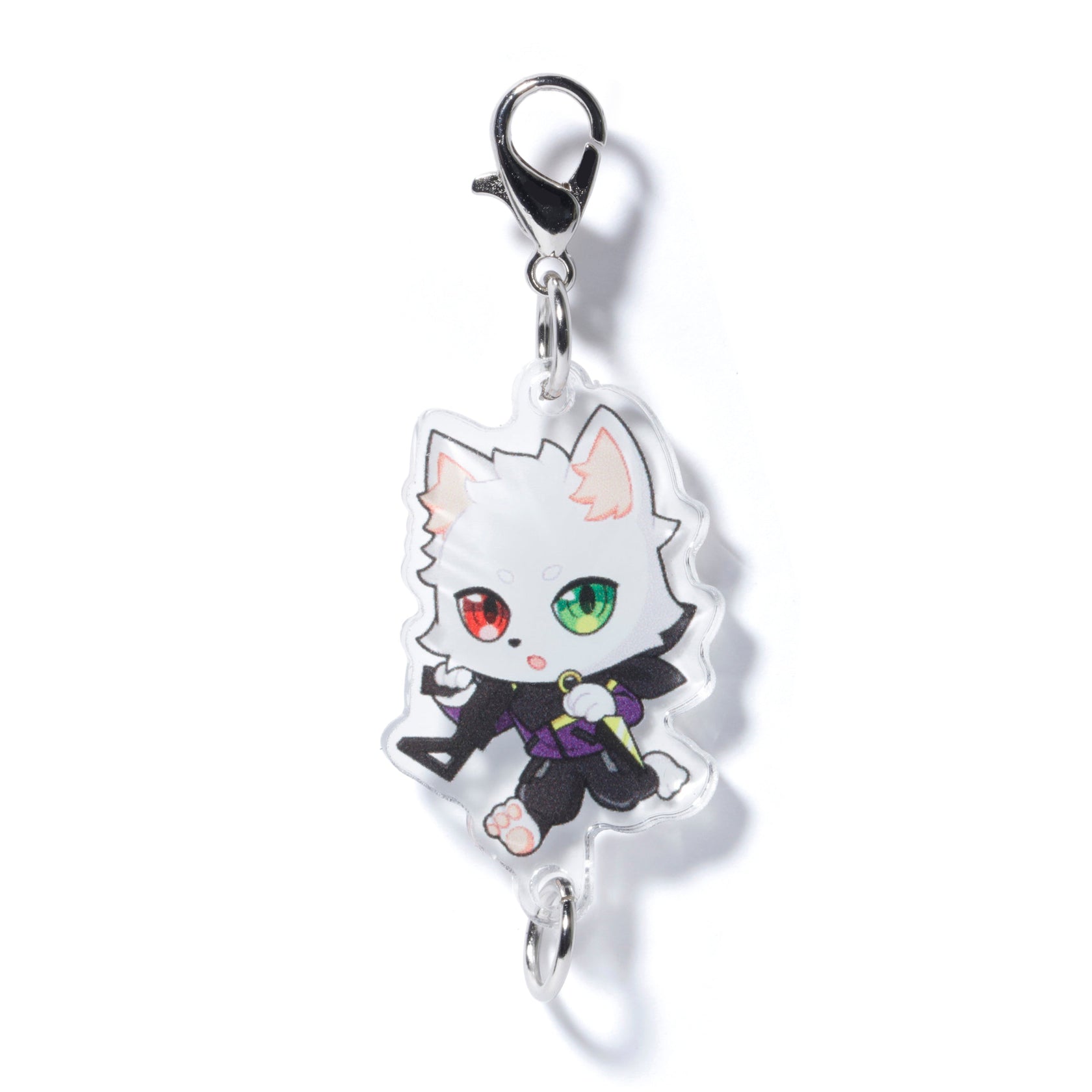 RAS B2025 – CRAZY RACCOON